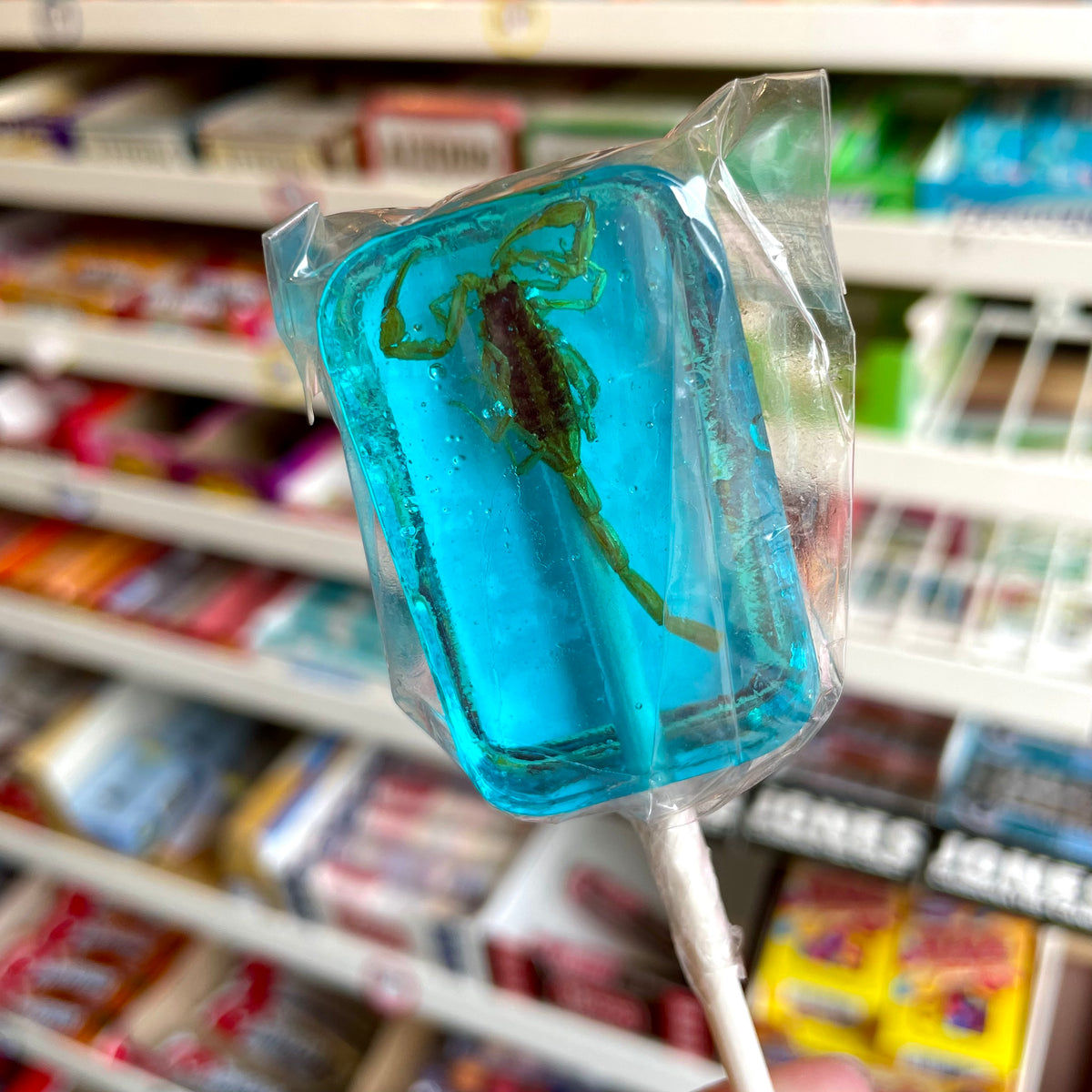 Blueberry Scorpion Sucker – Dessart Sweets Ice Cream & Candy Store